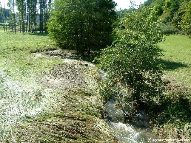 Ein Konzept für den Gansbach
